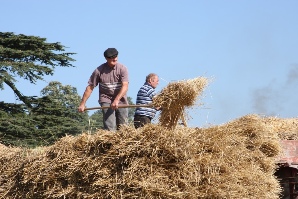 Charity - Henham Steam and Country Show